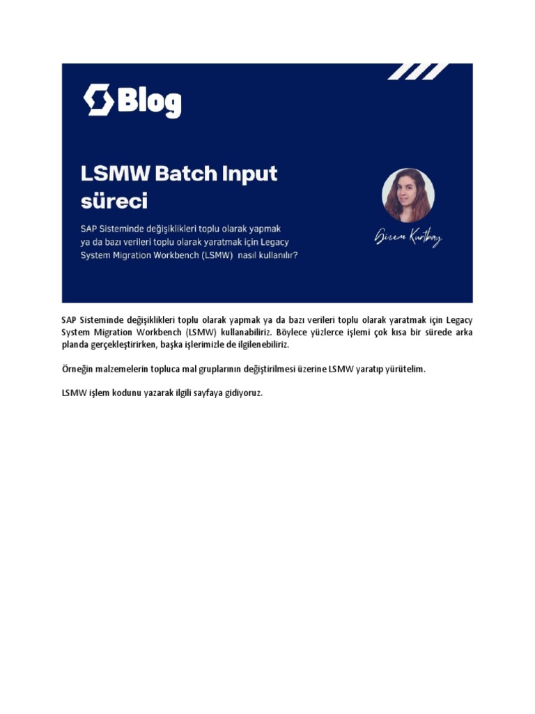 Spro Sblog LSMW Batch Input | PDF