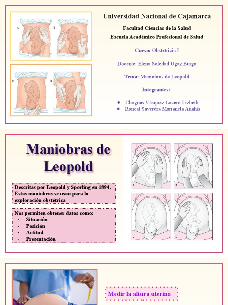 Maniobras de Leopold | PDF