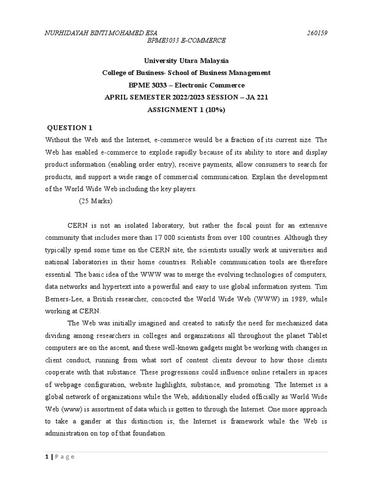 Individual Assignment - E-Commerce | PDF | Credit Card | Internet Access