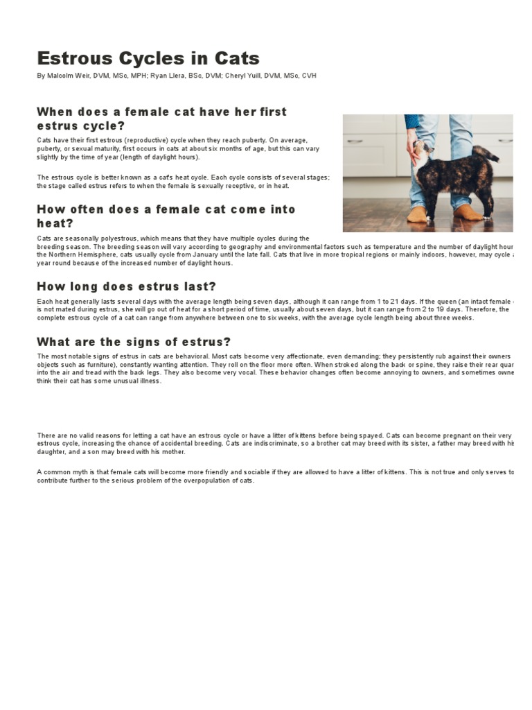 Cat Estrous Cycles Explained | PDF | Sexuality | Mating