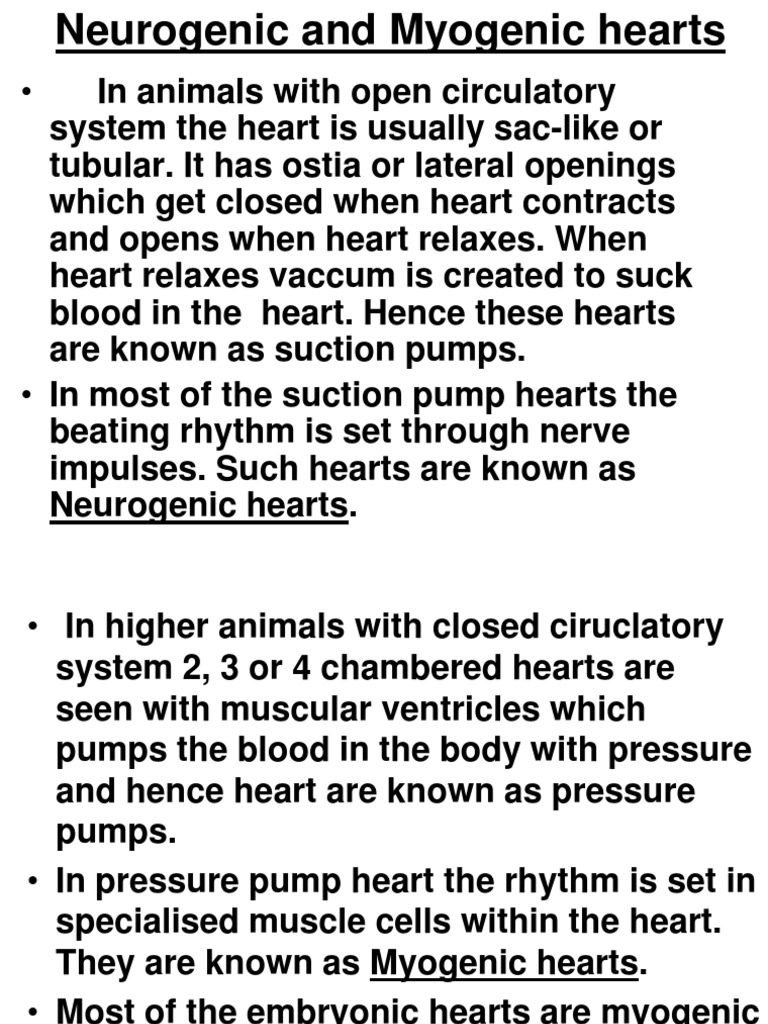 Myogenic vs Neurogenic Hearts Explained | PDF | Heart | Atrium (Heart)