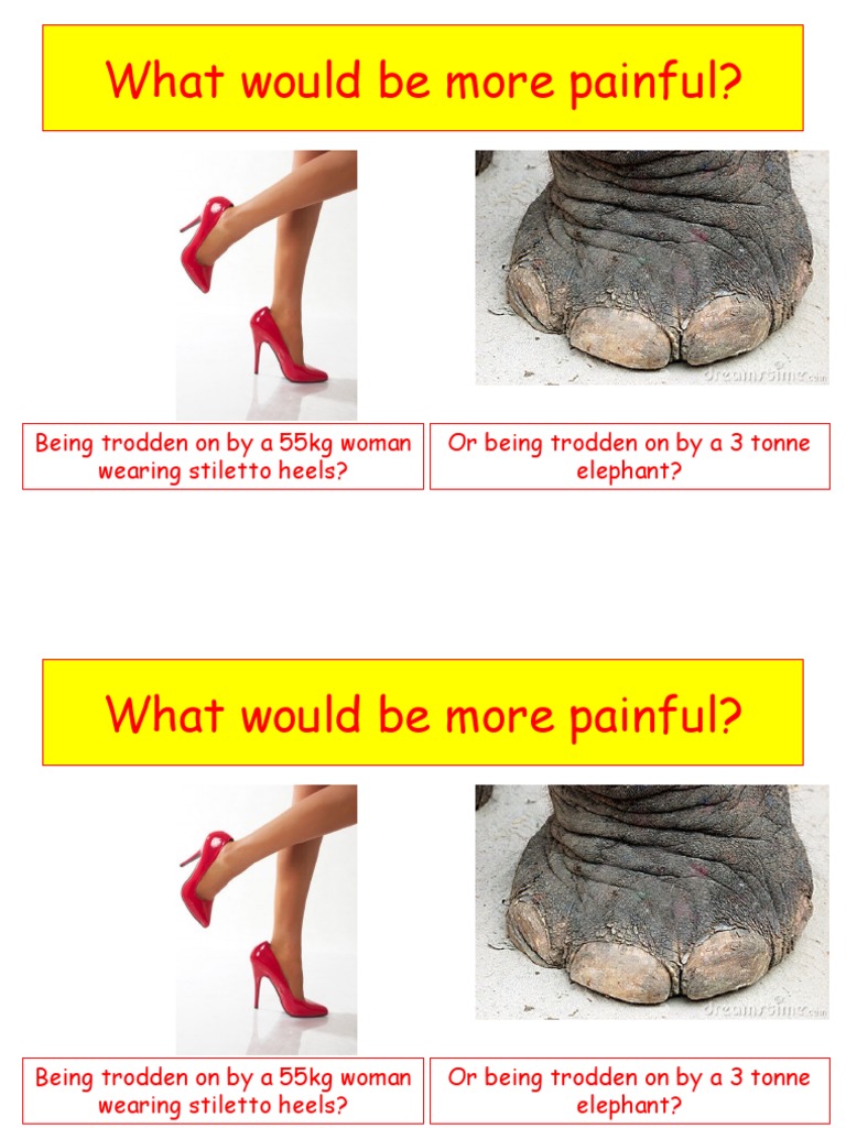 Understanding Pressure: Calculating and Comparing Forces Exerted by ...
