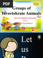 The Invertebrates Song | PDF