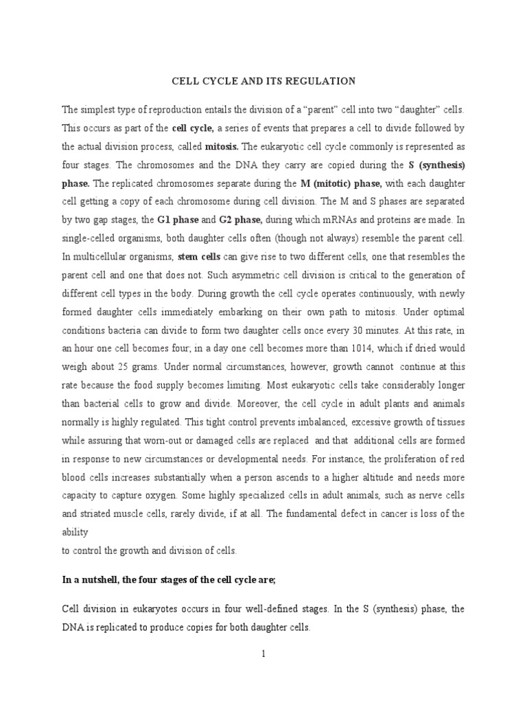 Cell Cycle and Its Regulation | PDF | Cell Cycle | Mitosis