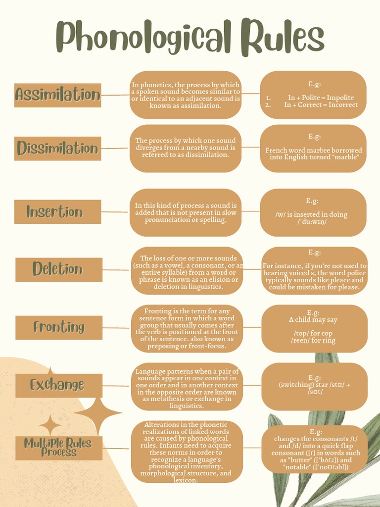 Phonological Rules | Download Free PDF | Cognition | Linguistics