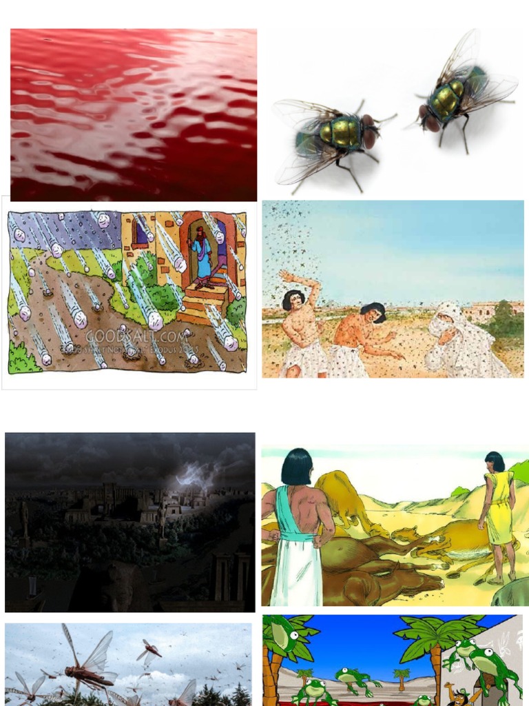 Ten Plagues Pics | PDF