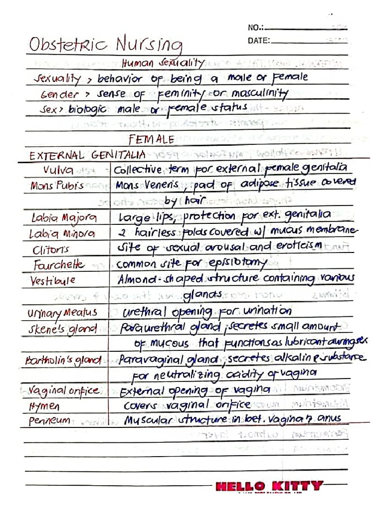 Obstetric Nursing | PDF