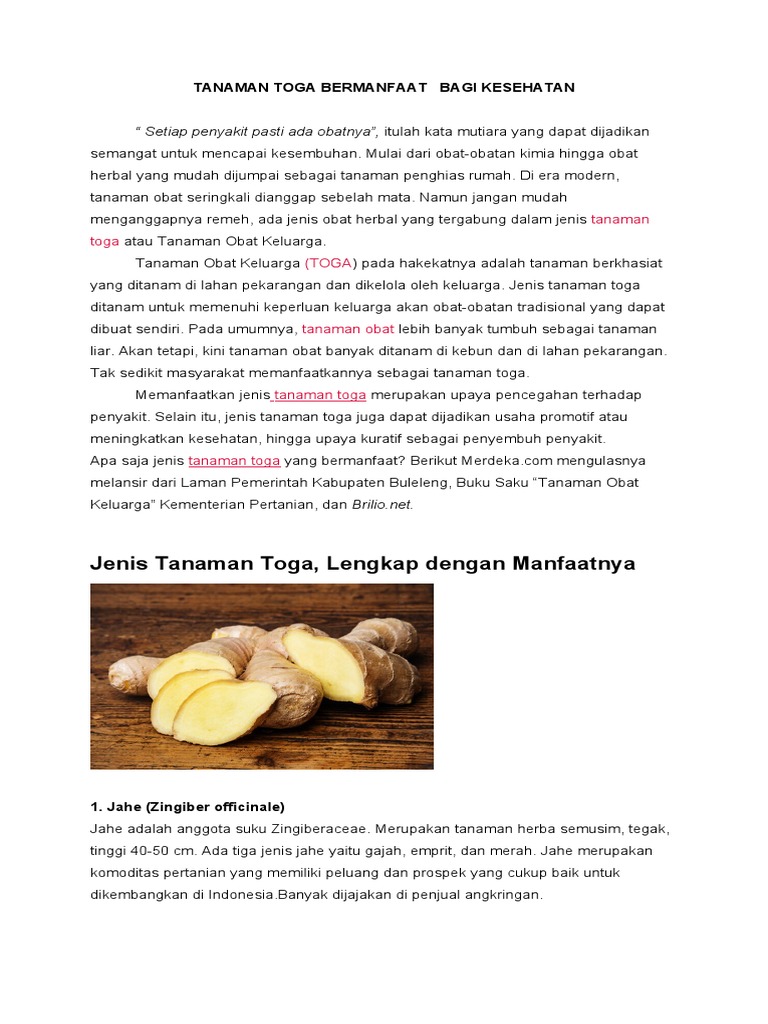10 Tanaman Toga dan Manfaatnya | PDF | Kesehatan Holistik