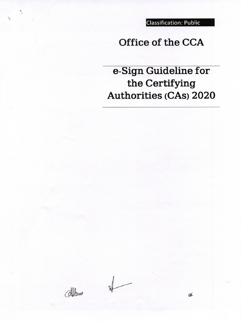 E Sign Guideline | PDF