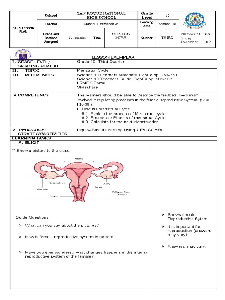 Lesson Plan Menstrual Cycle | PDF | Menstrual Cycle | Mammal ...