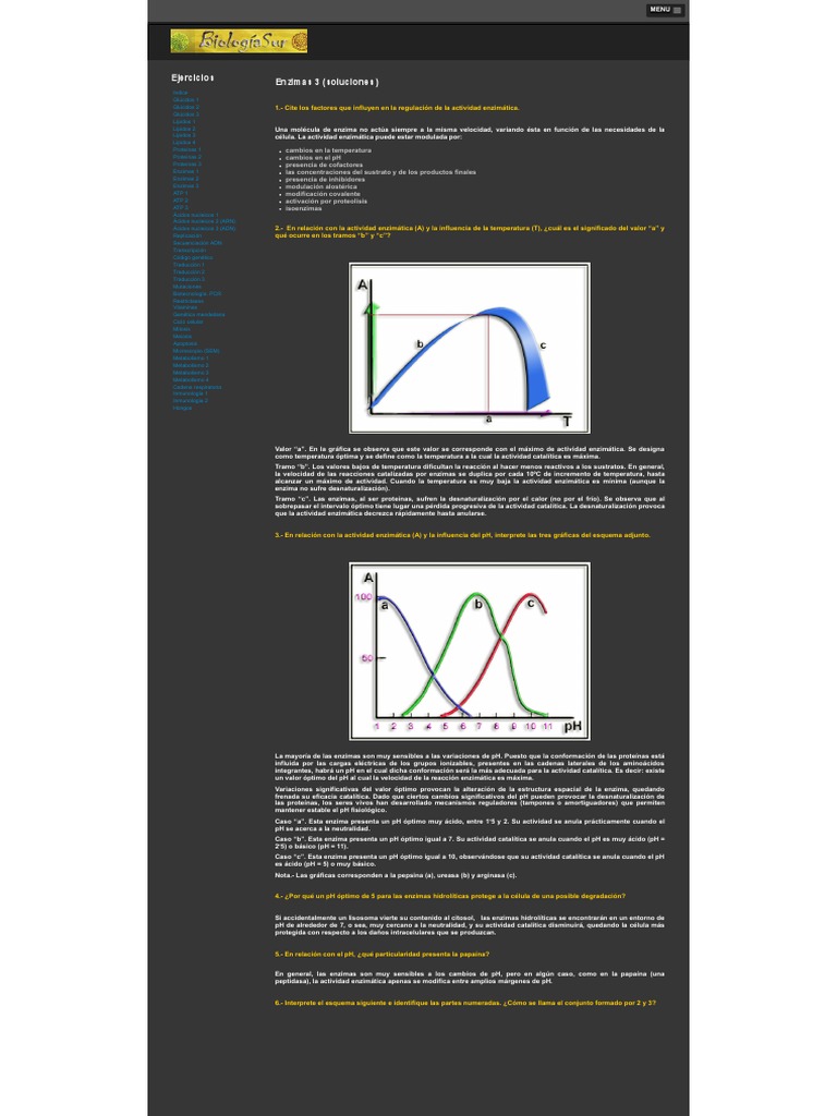 Enzimas 3 | PDF | Enzima | Nicotinamida adenina dinucleótida