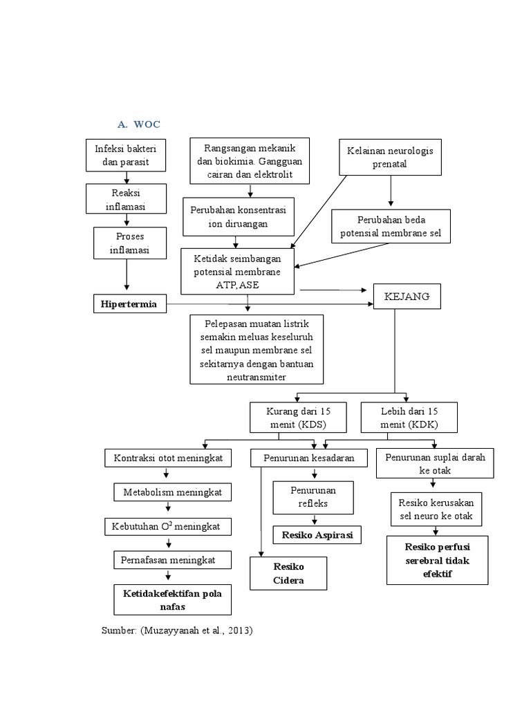 Pathway Hipertermi dan Kejang Demam | PDF