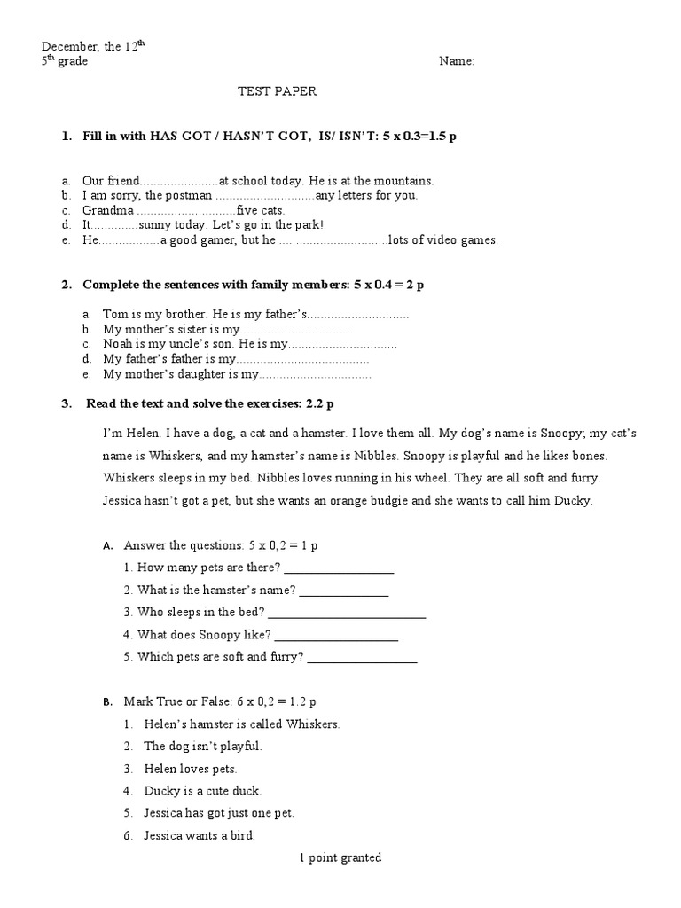 Test Paper - 5th Grade | PDF
