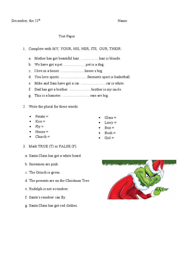 Test Paper - 3rd Grade | PDF