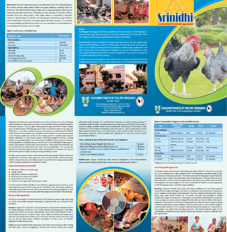 Srinidhi Chicken | PDF