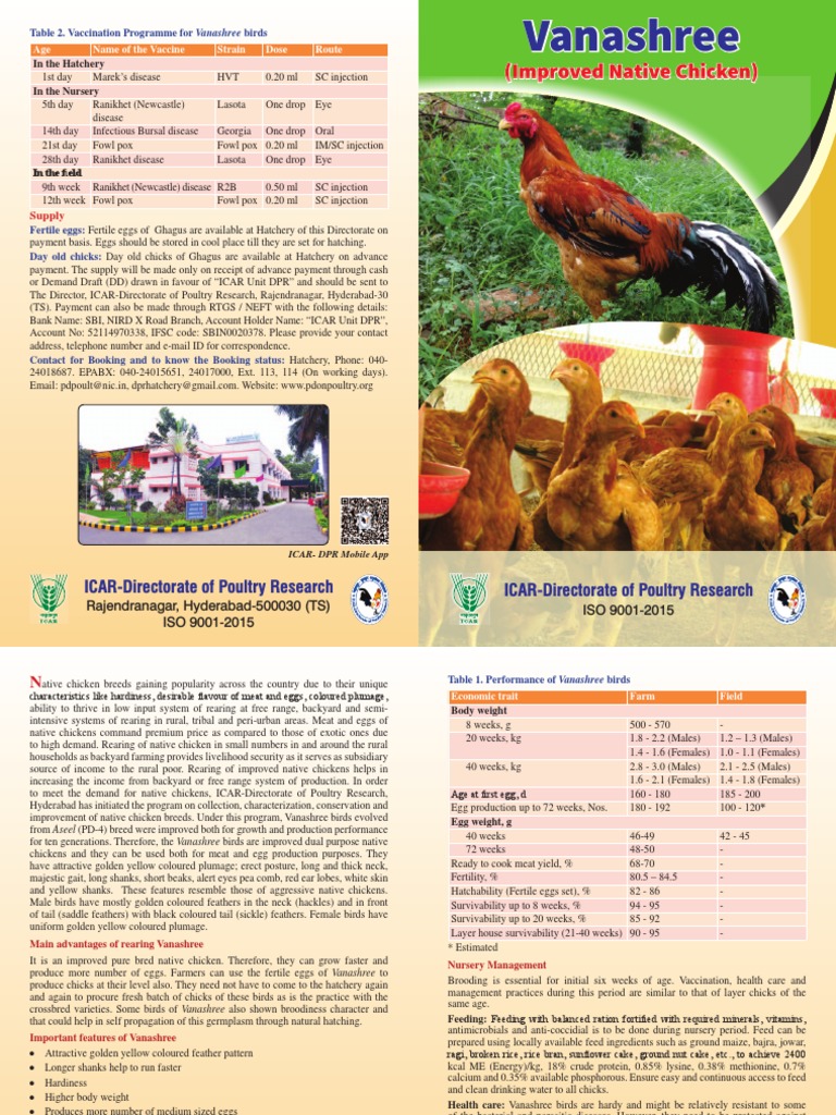 Vanashre Chicken (English) | Download Free PDF | Chicken | Poultry