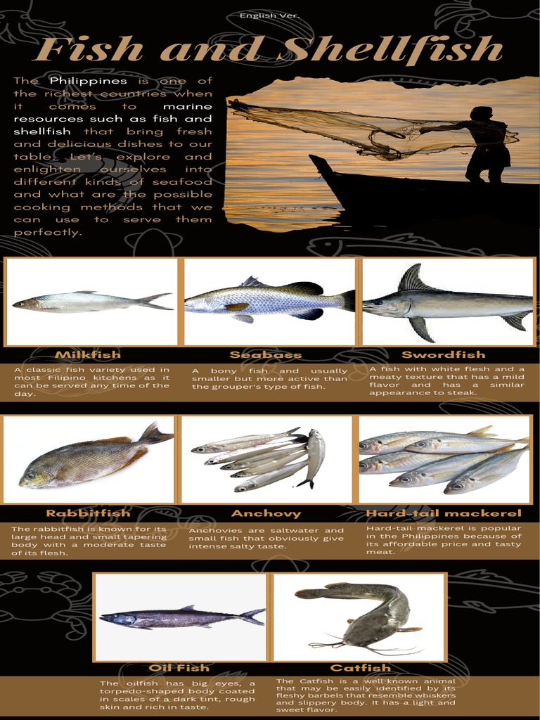Fish and Shellfish Infographics - Group 2 | PDF | Shellfish | Fish