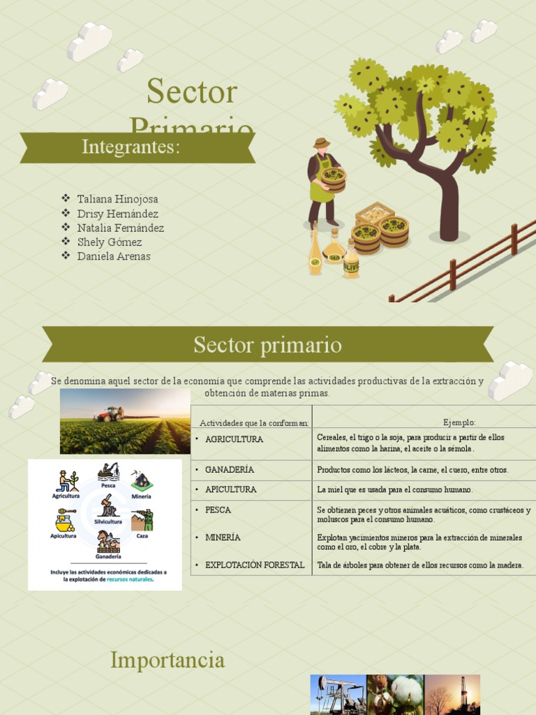 Sector Primario | PDF | Agricultura | Minería