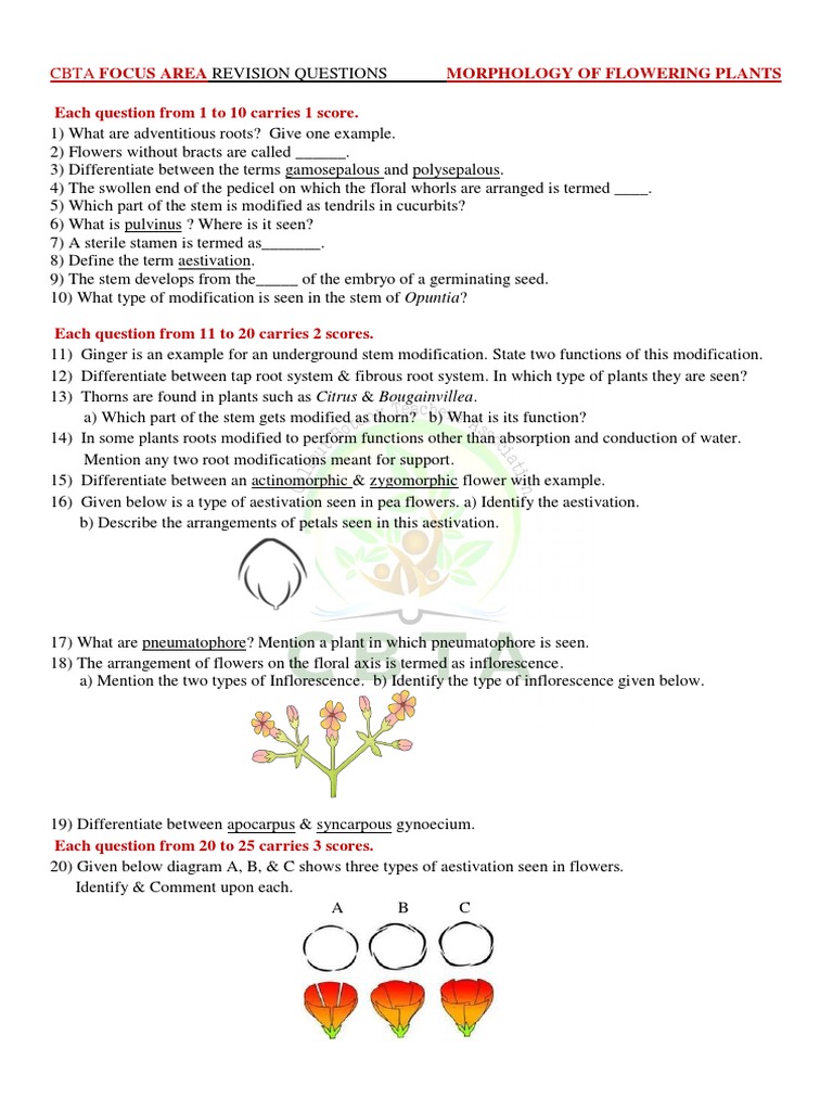 Kerala +1 Botany Focus Area Question Bank - Morphology of Flowering ...