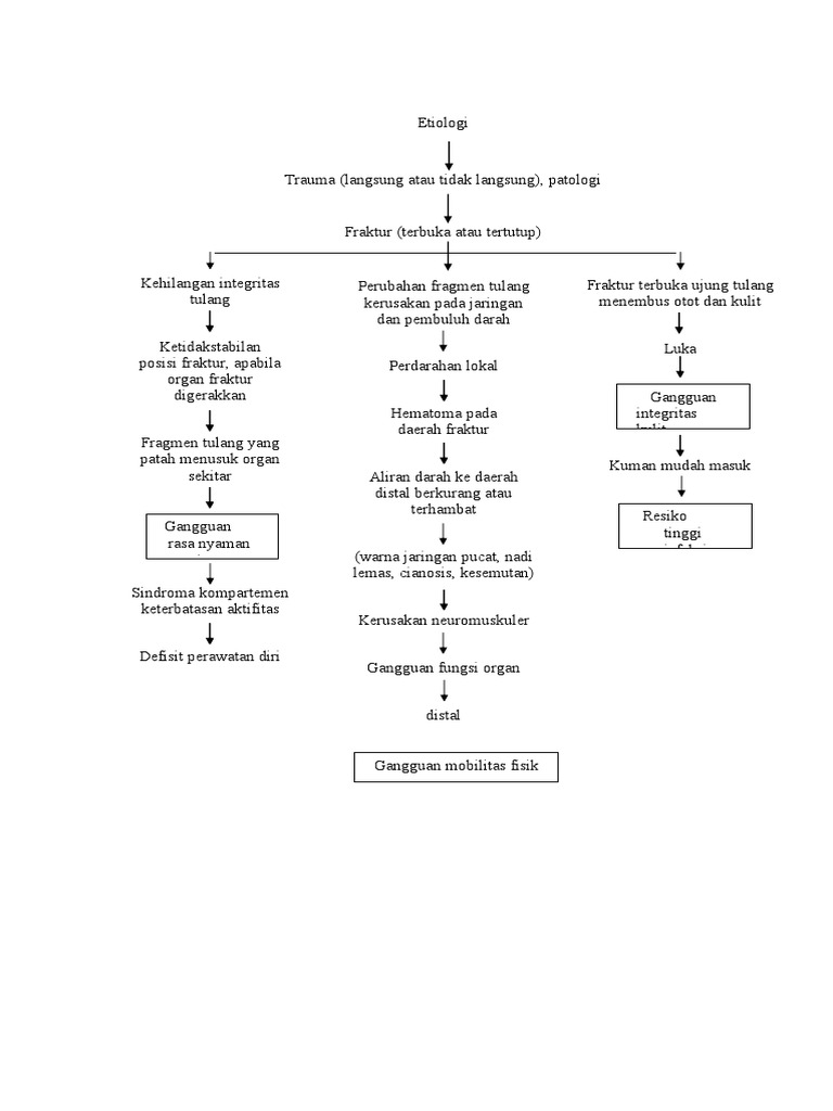 Pathway Fraktur | PDF