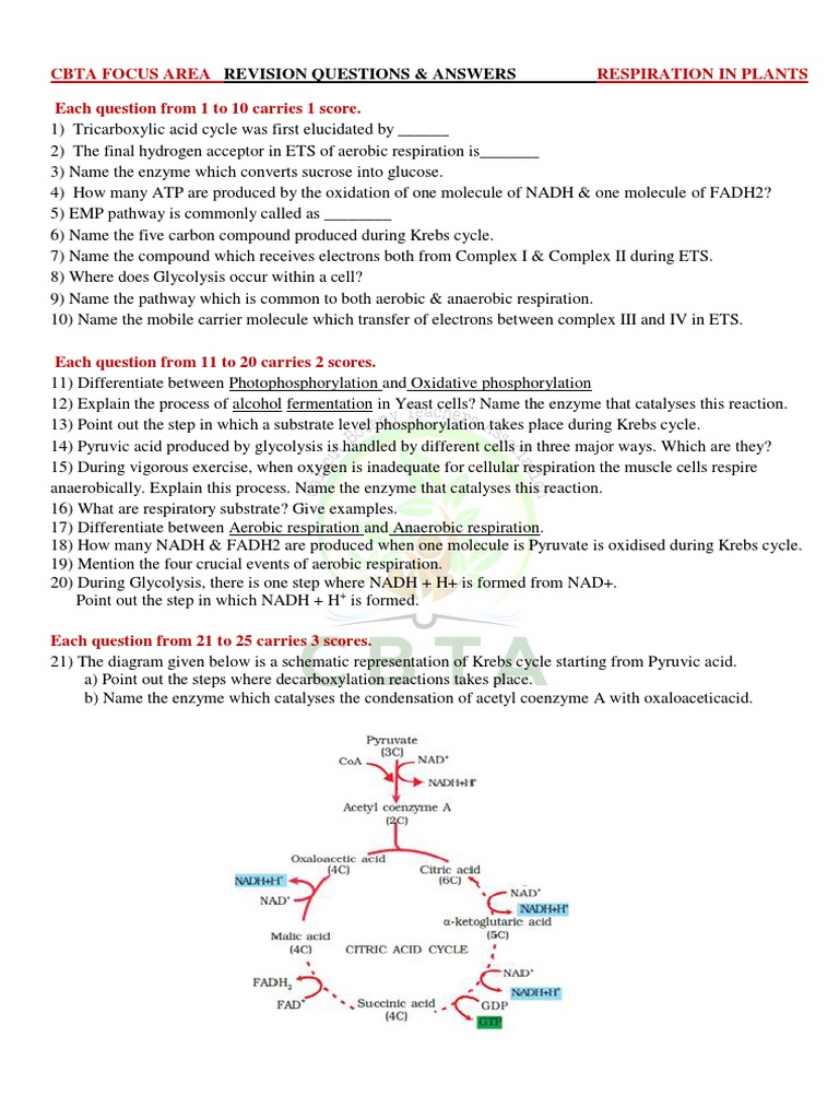 Respiration in Plants: Key Concepts and Processes of Cellular ...