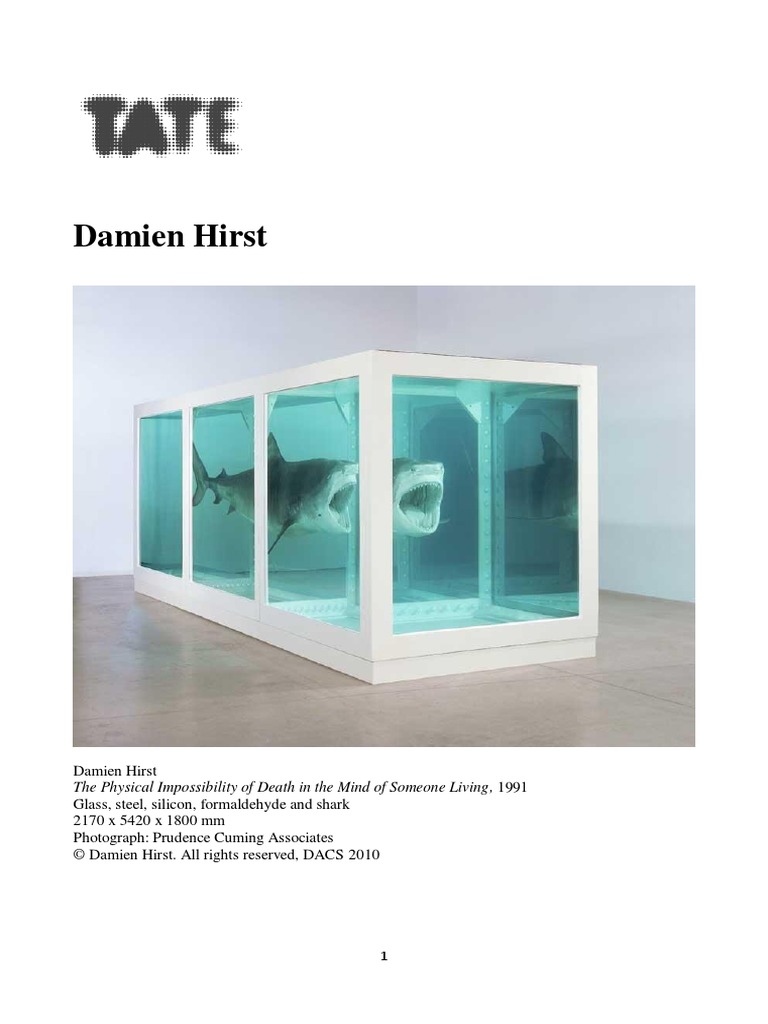 Damien Hirst | PDF | Art | History