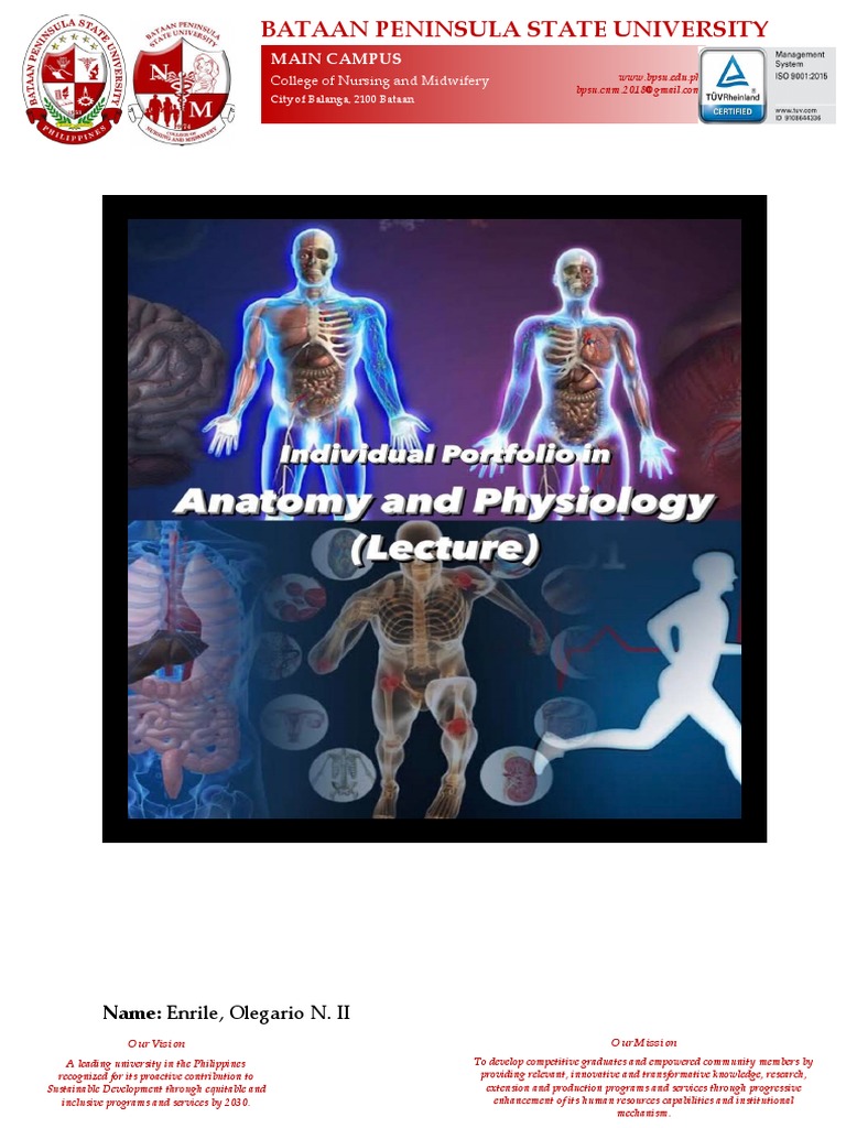 Portfolio FOR ANA - Enrile | PDF