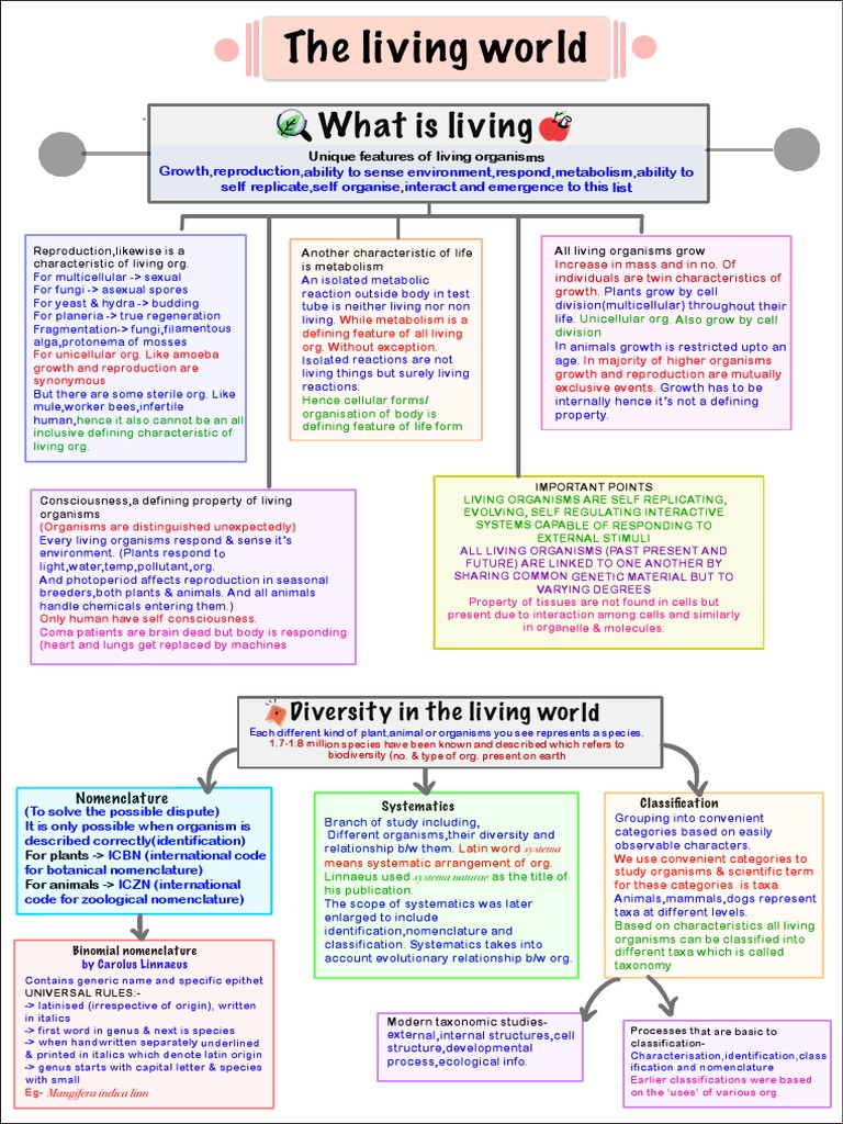 Mind Map of Diversity in Living World | PDF | Taxonomy (Biology ...
