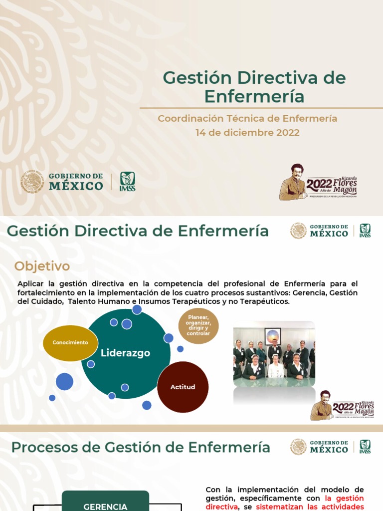 Gestión Directiva de Enfermería 14 Dic. 2022 | PDF | Planificación ...