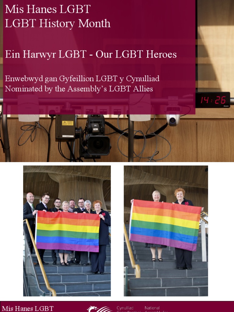 LGBT History Month Feb 2014 | PDF