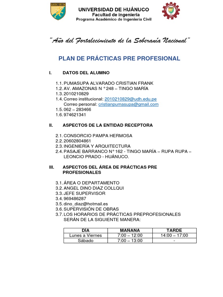 Plan De Prácticas Pre Pdf Ingeniería Economias