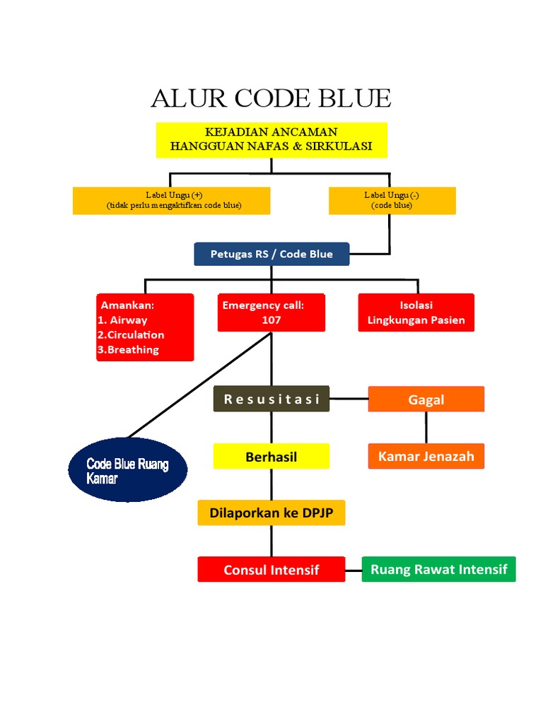 Alur Code Blue | PDF