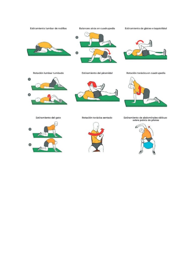 Movimientos Lumbalgia | PDF