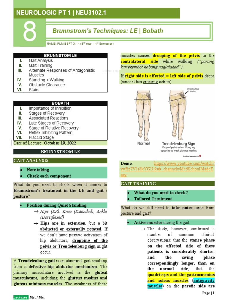 Brunnstrom and Bobath Techniques in LE | PDF | Anatomical Terms Of Motion | Foot