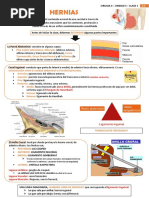 Grados y tipos de evisceración abdominal | PDF | Cirugía | Transplante ...
