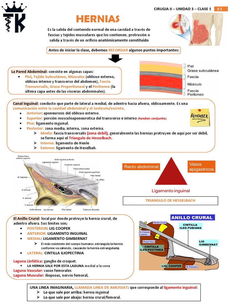 Clase 17 - Hernias | PDF | Abdomen | Medicina CLINICA