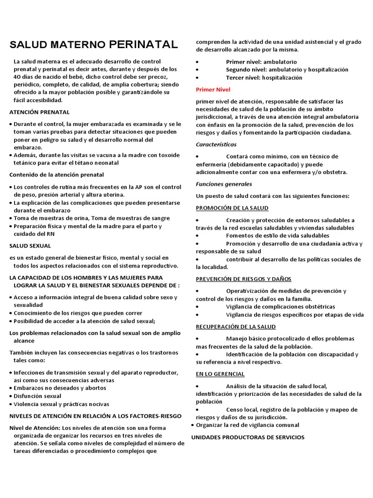 Salud Materno Perinatal | PDF | Hospital | El embarazo