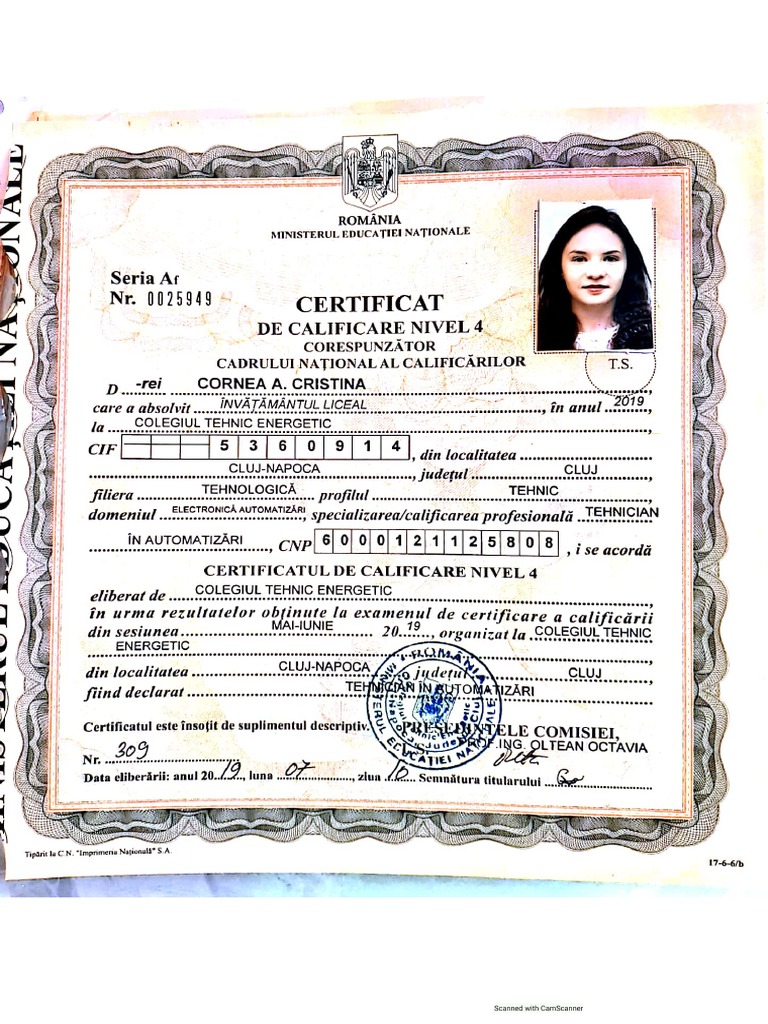 Cornea Cristina ID, Certification, Driving | PDF