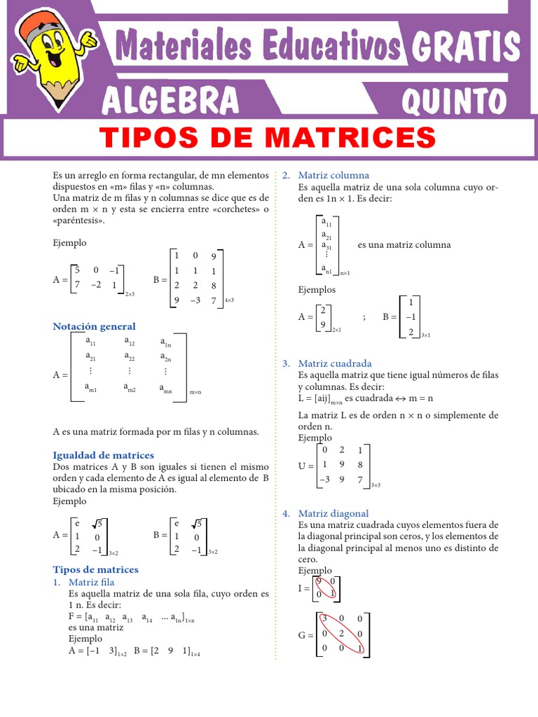 Guía Completa de Tipos de Matrices | PDF | Matriz (Matemáticas) | Funciones y mapeos