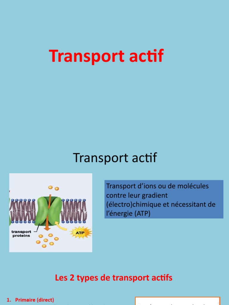 Le Transport Actif 2020 | PDF | Membrane cellulaire | Adénosine ...