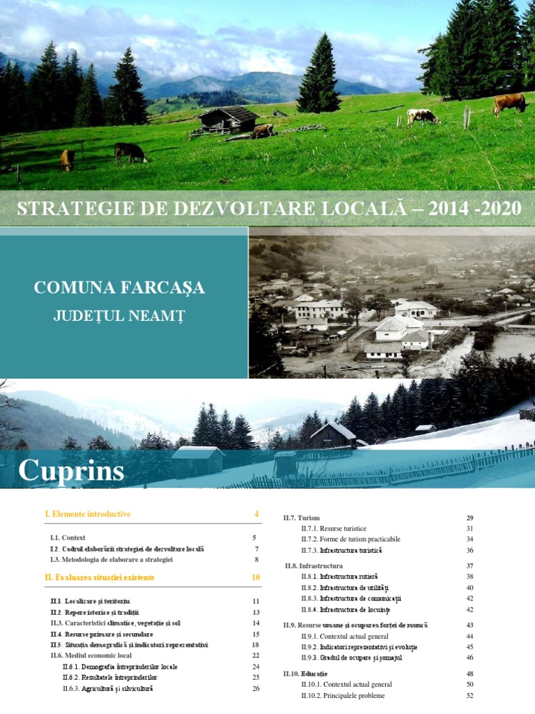 Strategie de Dezvoltare 2014 2020 Comuna Farcasa | PDF