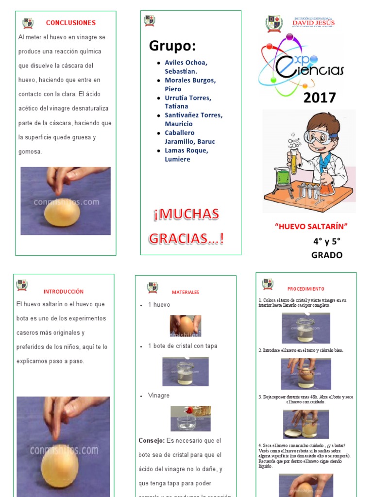 Triptico Fencyt | PDF | Vinagre | Huevo como alimento