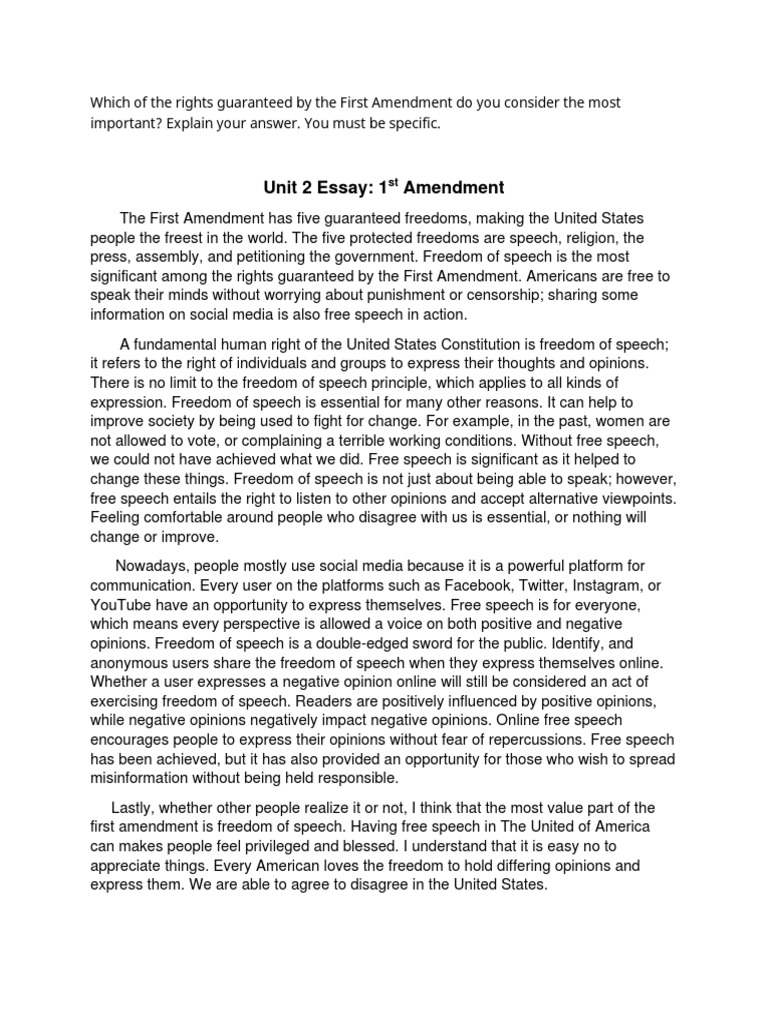 Importance of the First Amendment | PDF | Freedom Of Speech | First ...