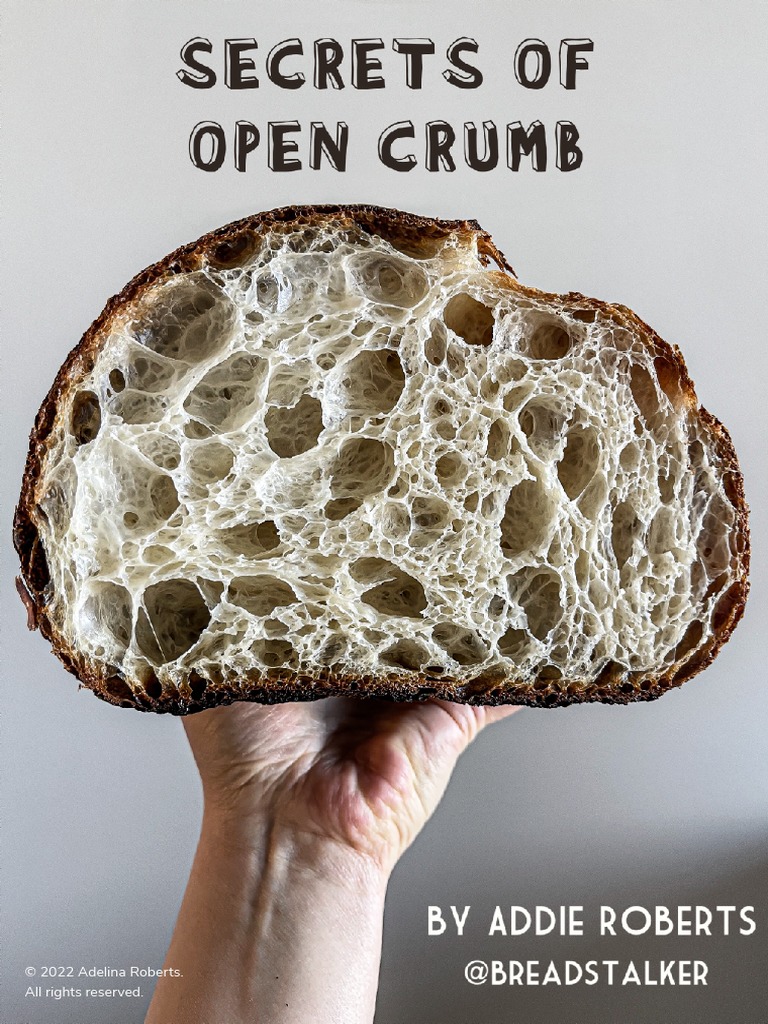 Secrets of Open Crumb | PDF | Fermentation | Sourdough