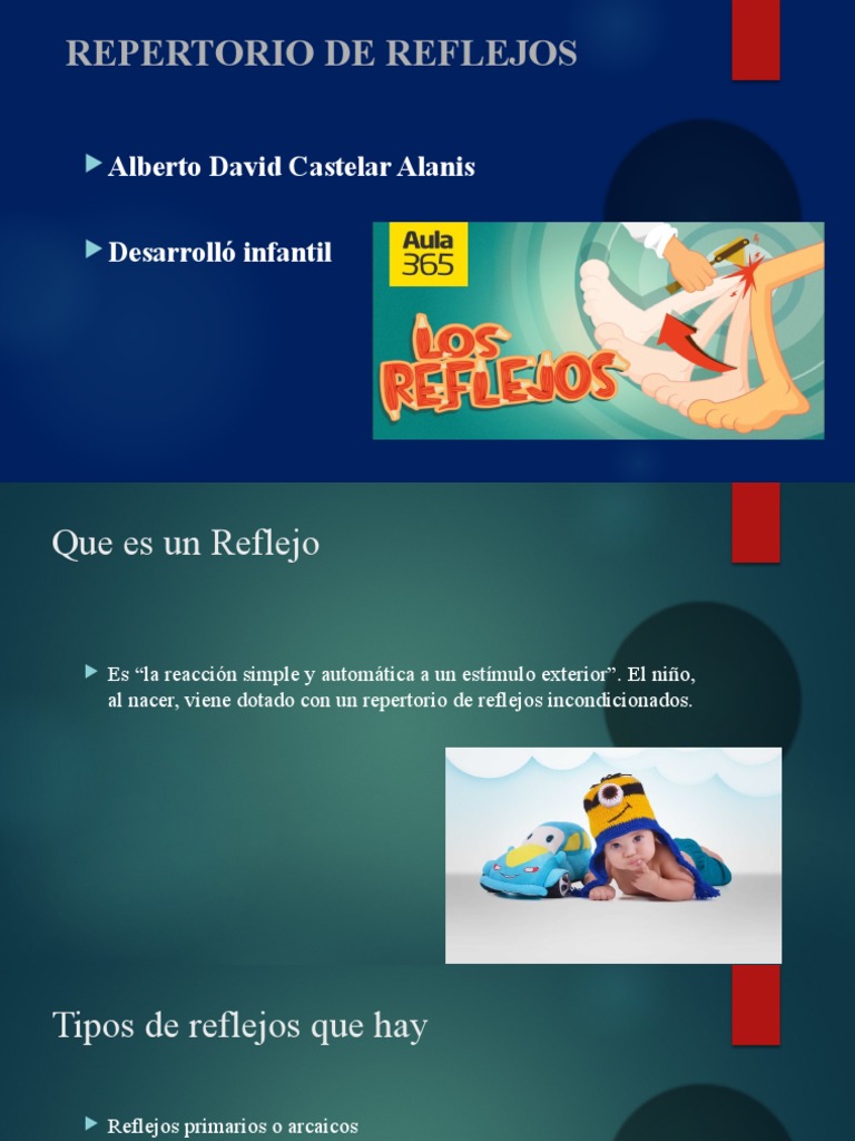 Tipos de Reflejos | PDF