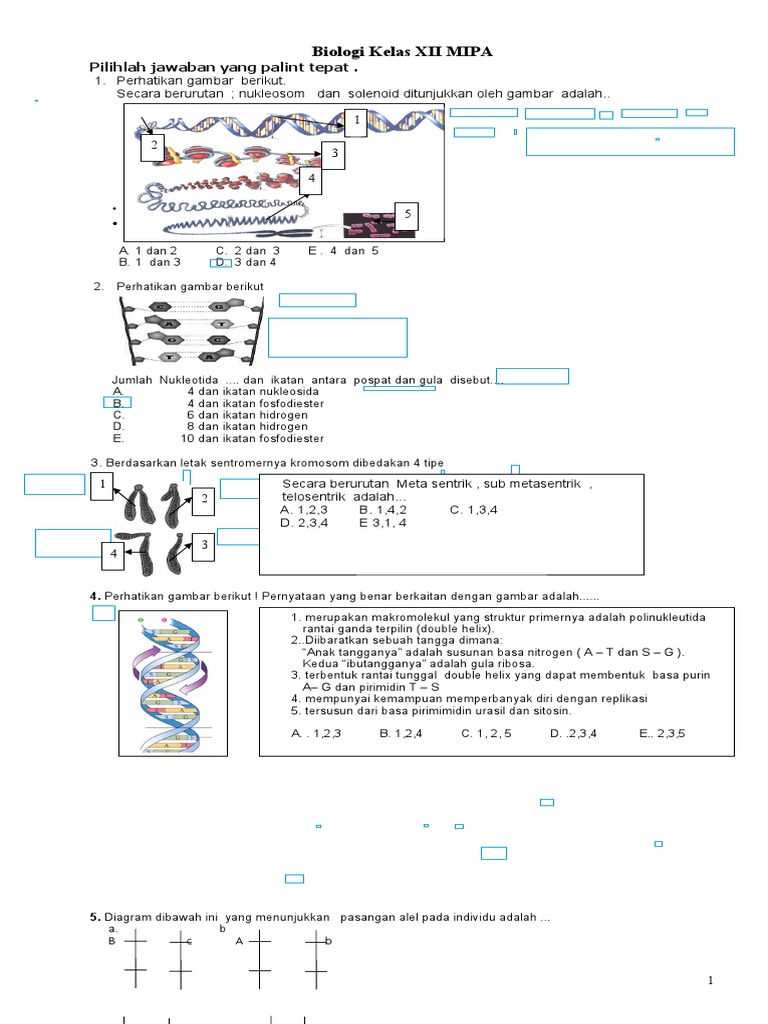Soal Latihan DNA, GEN, KROMOSOM | PDF