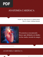 Anatomía y disección de la arteria mamaria interna | PDF | Tórax | Aorta