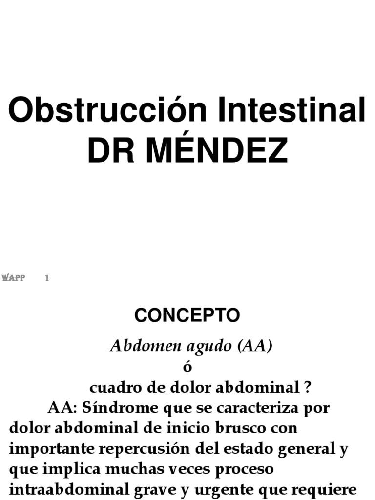 Obstrucción Intestinal 2 Pdf Abdomen Medicina