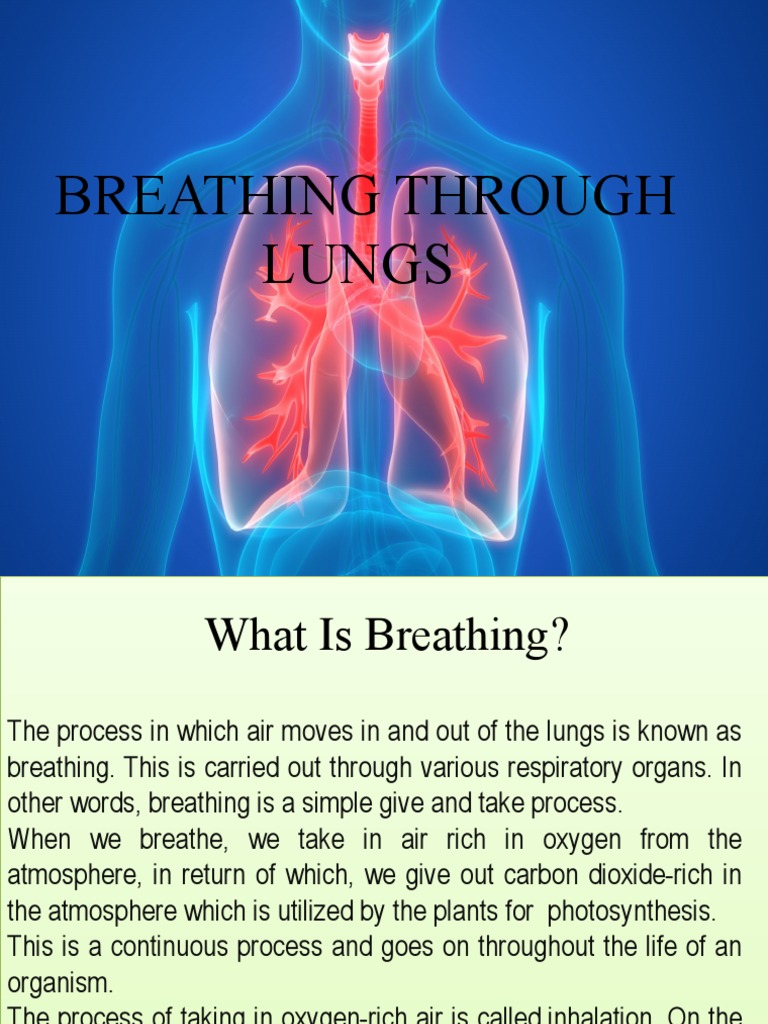 BREATHING THROUGH LUNGS | PDF