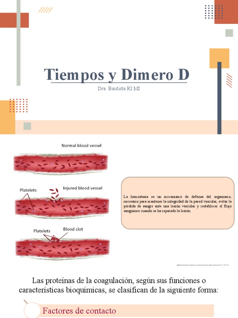 Tiempos y Dimero D | PDF